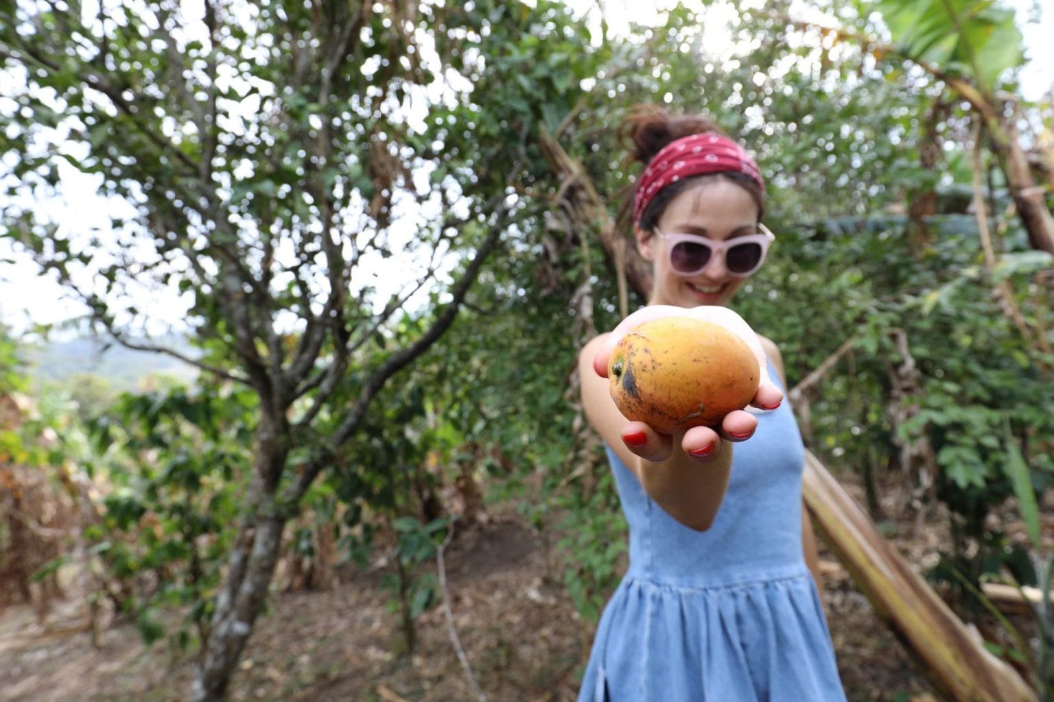 My Experience :Sustainable Farming in Costa Rica - | Eco-Travel