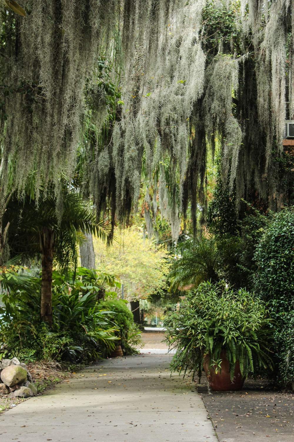Savannah, Georgia : Best Sights to See in a Weekend | Travel Blog