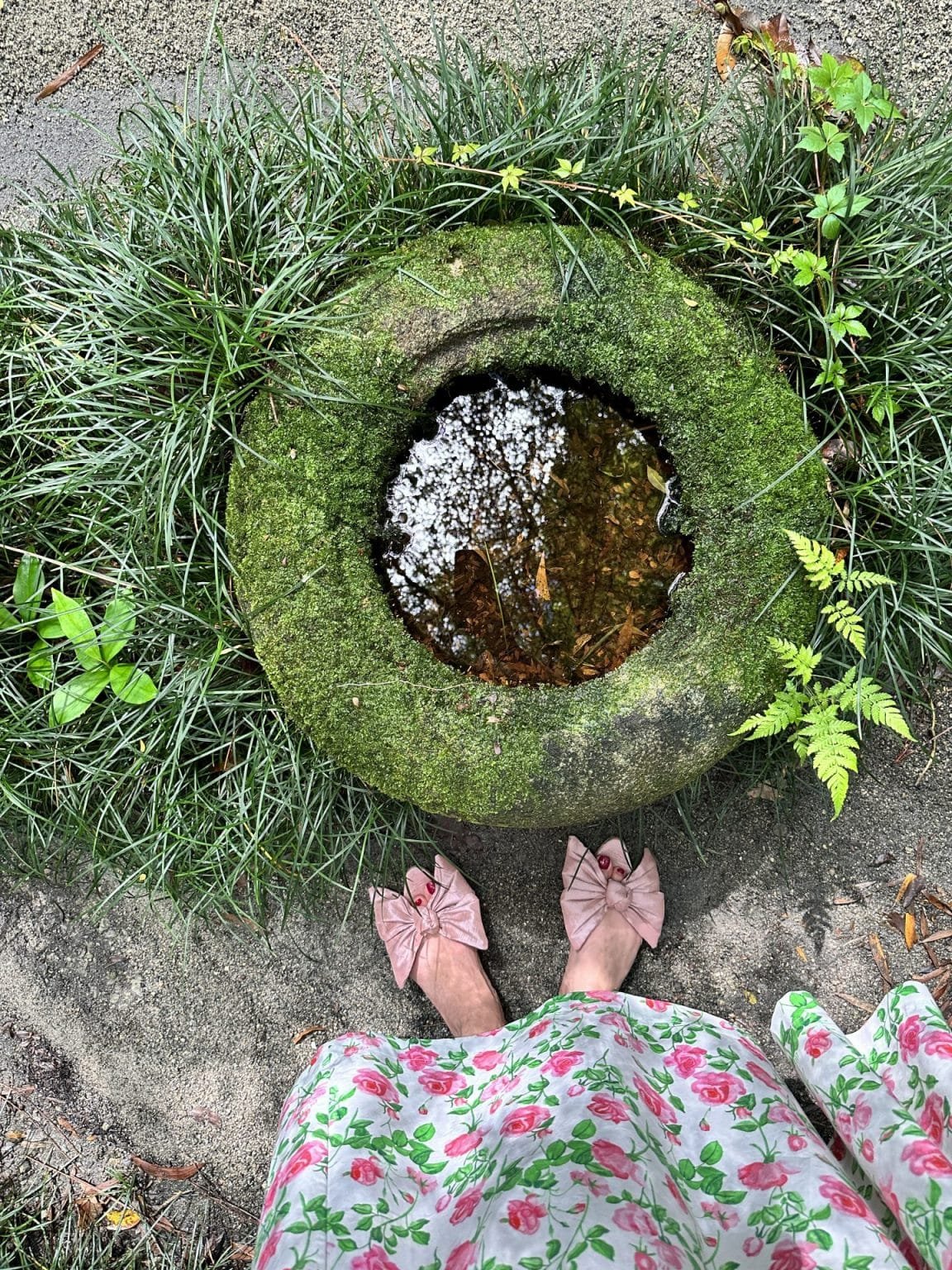 A Day Trip to Morikami Museum and Japanese Gardens, Florida